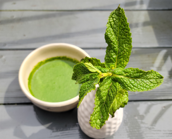 In like mint – Plant Something Oregon