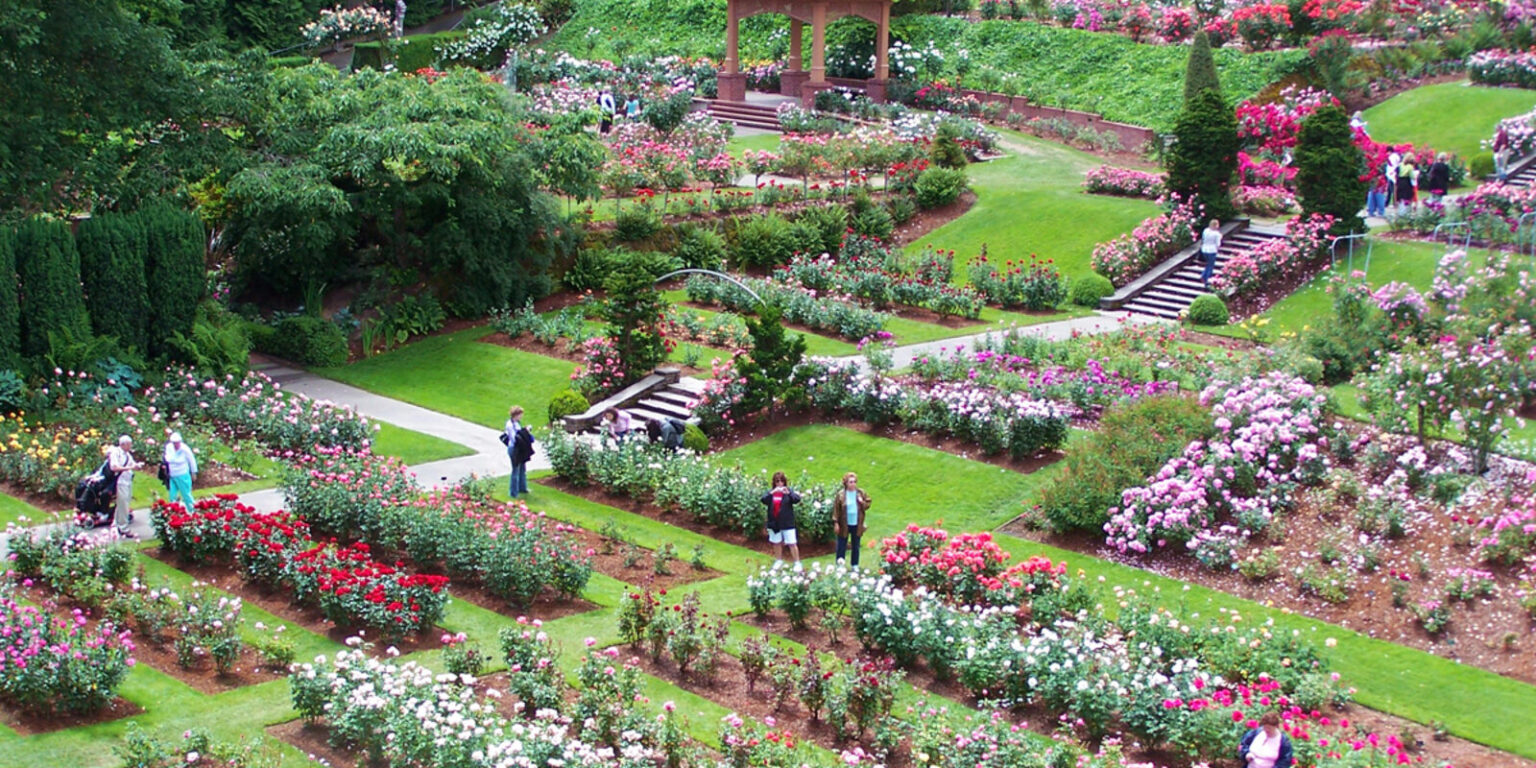 International Rose Test Garden – Plant Something Oregon